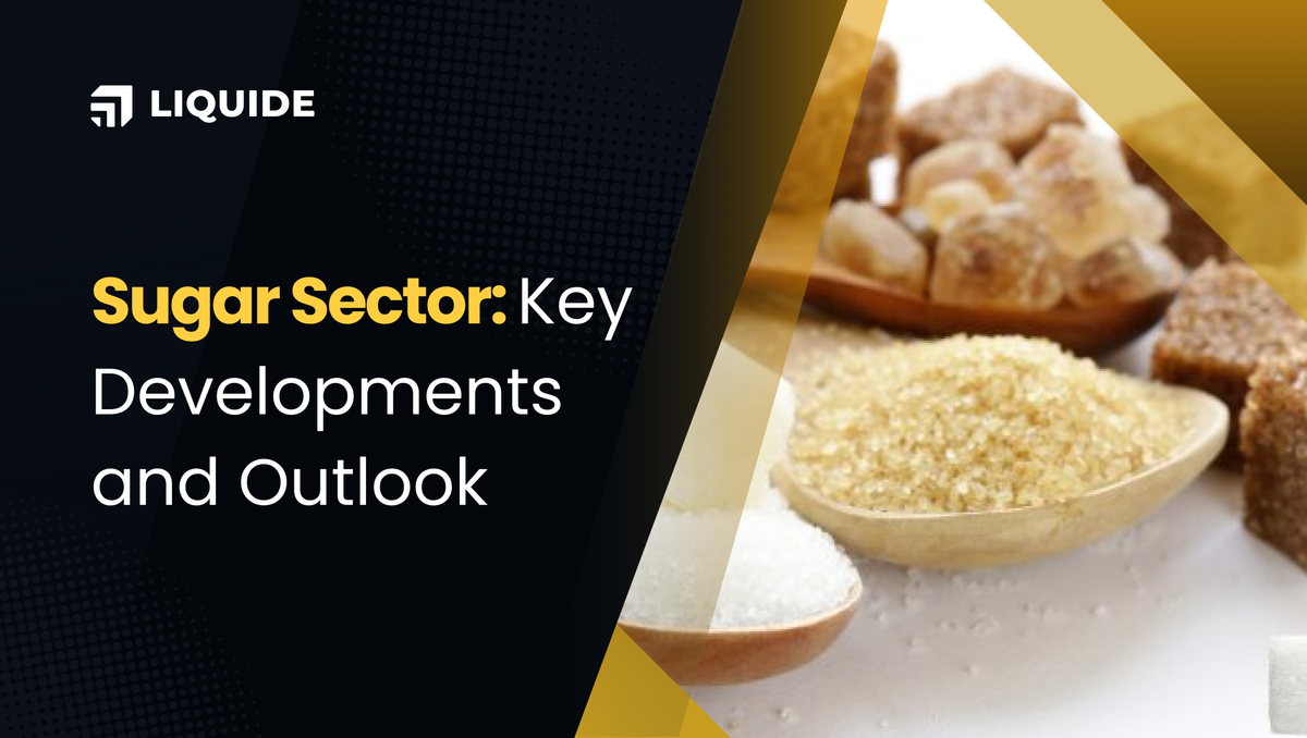 Sugar Stocks Surge as Government Mulls Ethanol and MSP Price Hikes